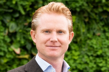 Boosting urban biodiversity with new innovations in green ...