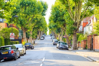 Greening Up: why, where and how | LocalGov